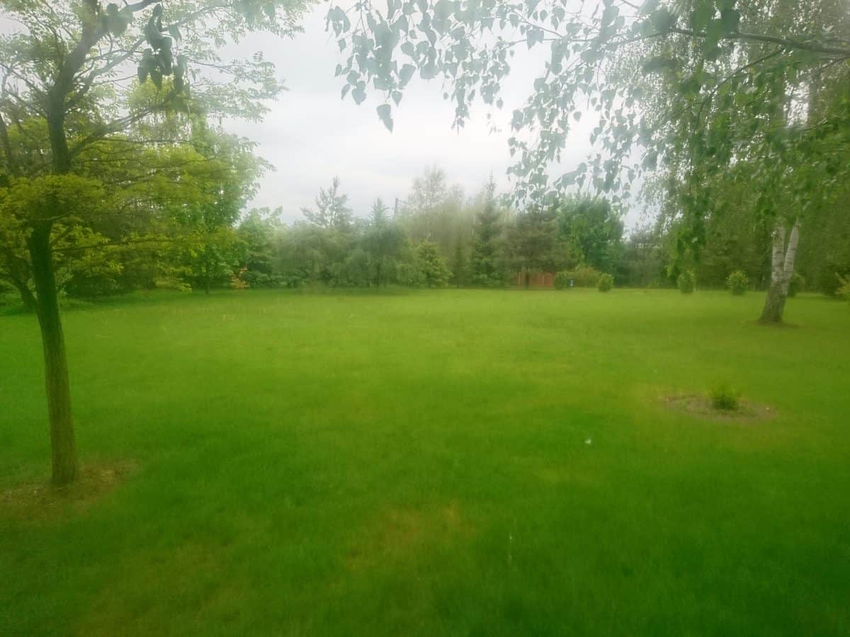 Pole do popisu – Ogród na pTAK!