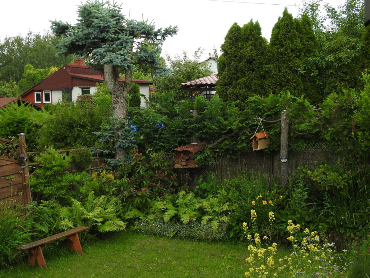 Murarki – Ogród na pTAK!